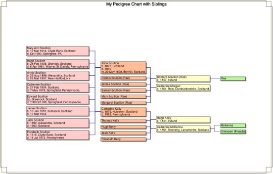 Rae-Morgan-Scullion-Kelly Family History | Psalmboxkey's Blog